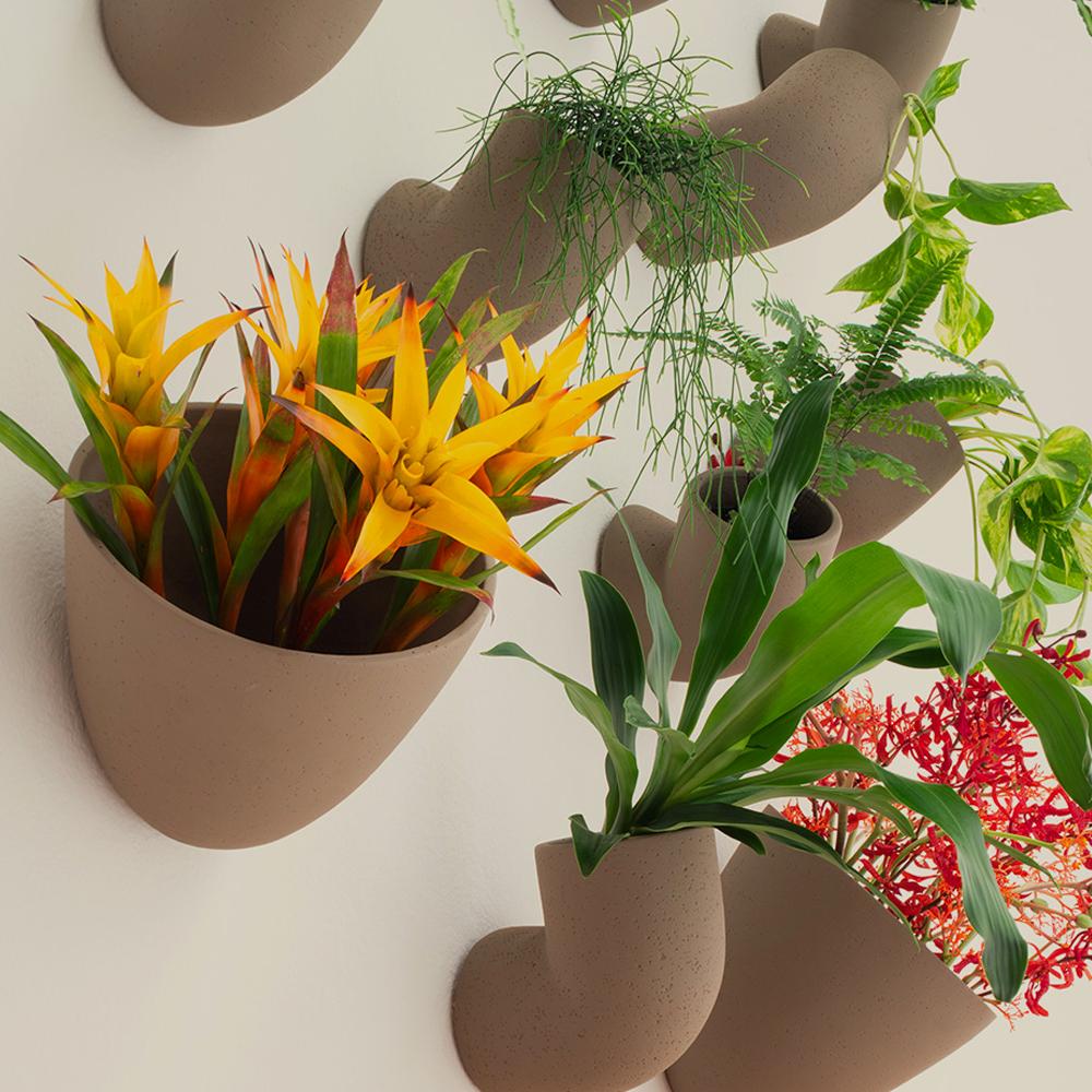 Linha Barro - Inove Design